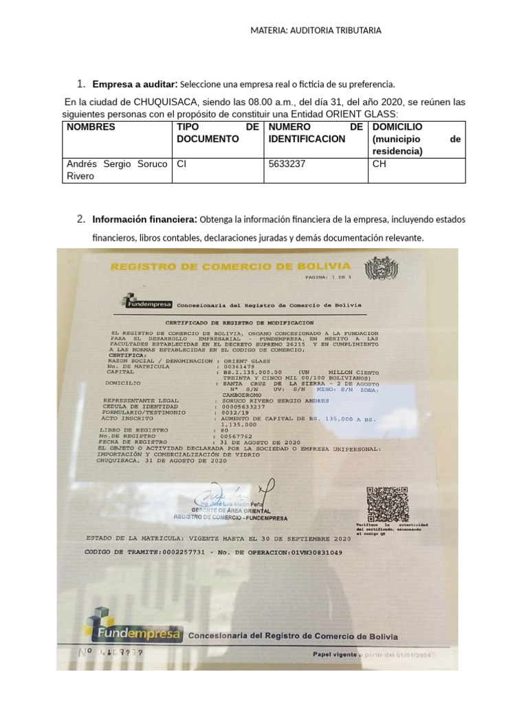 ACTIVIDAD 3 (1) | PDF | Auditoría | Contabilidad