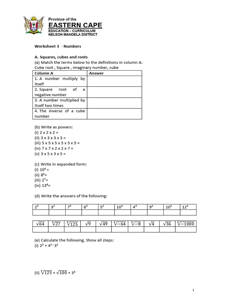 Worksheet 3 Numbers | PDF