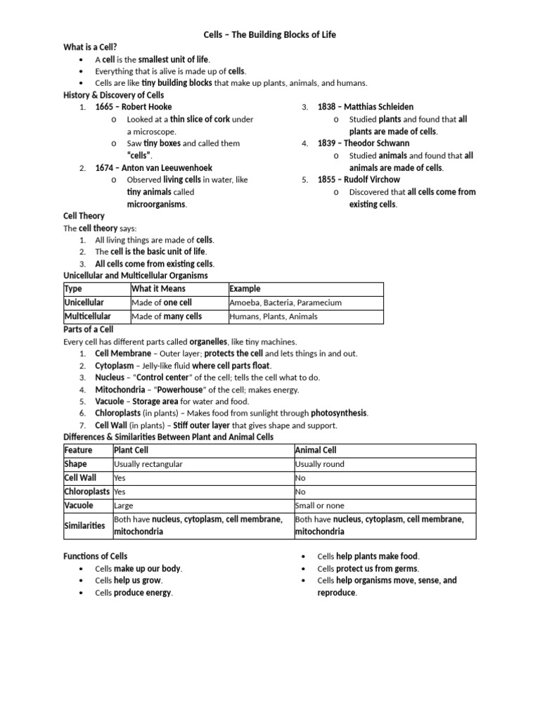 Cells Notes 3rd Grade | PDF | Cell (Biology) | Microscopy