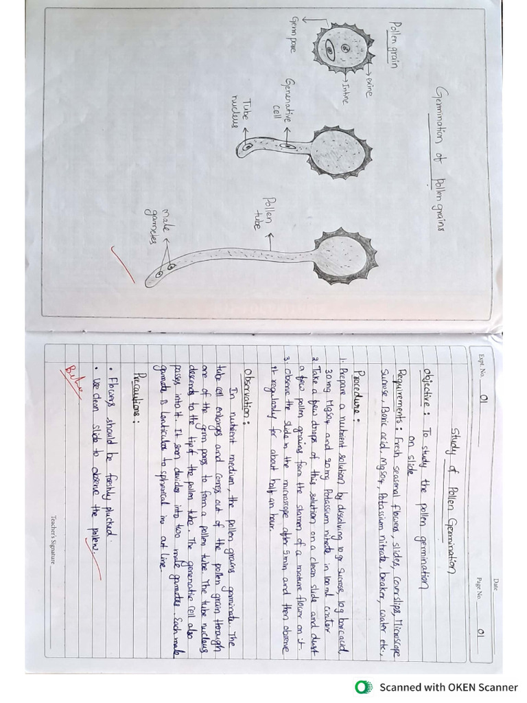 bio record (1) | PDF