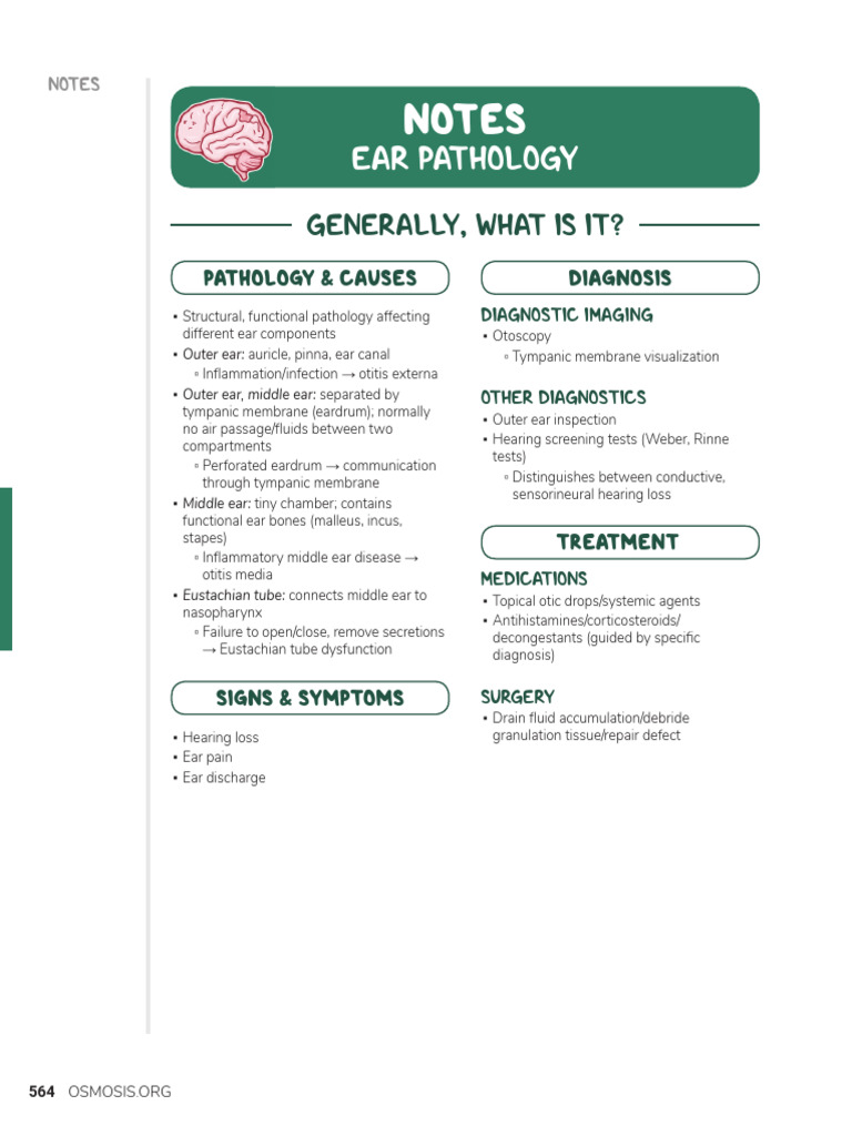Ear Pathology | PDF | Ear | Otology