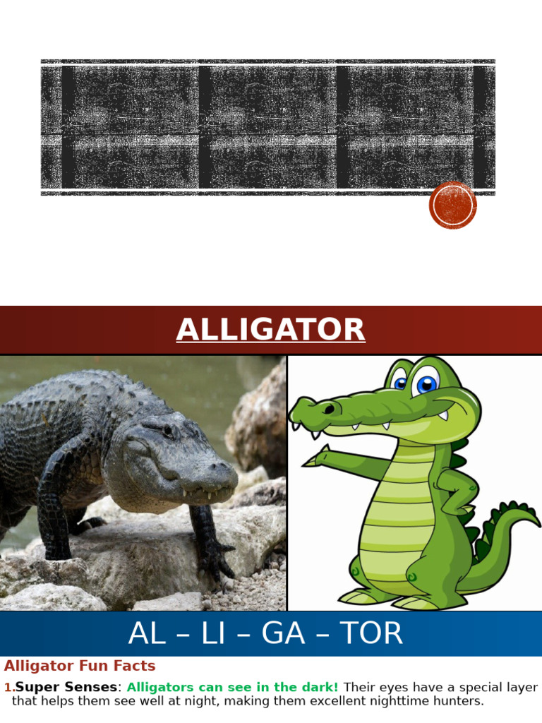 Fun Facts About Alligators and More | PDF | Frog | Elk