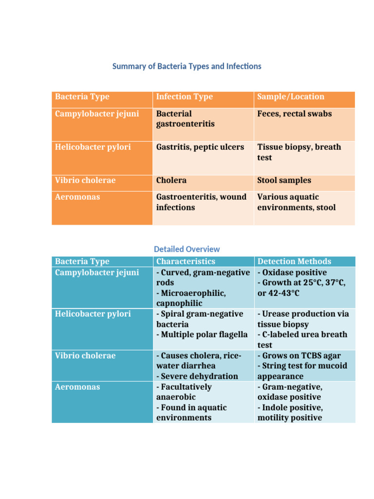 Bacteria Types Summary | PDF