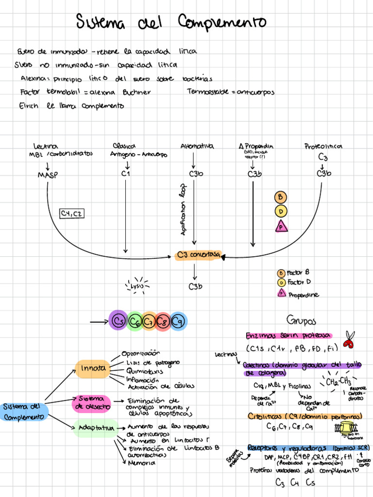 Sistema del complemento | PDF | Sistema complementario | Inmunología