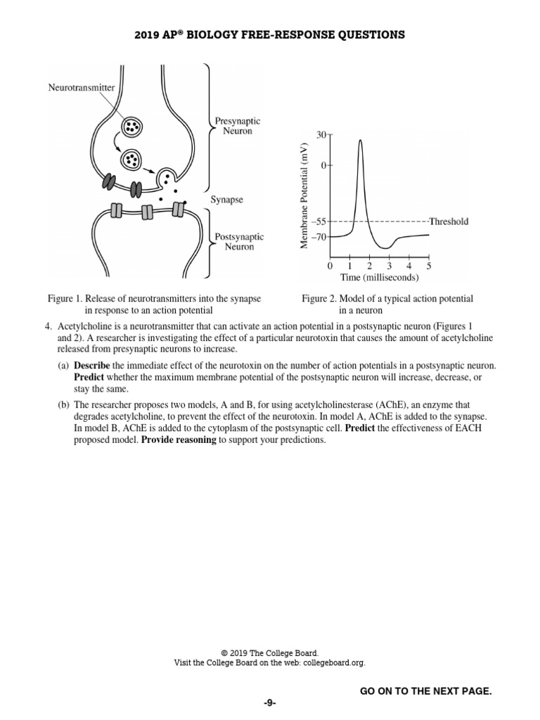 Neurotoxin Effects on Action Potentials | PDF