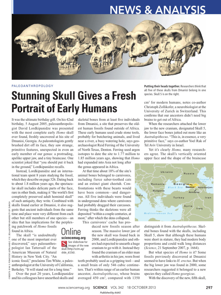 Gibbons 2013 Stunning Skull Gives a Fresh Portrait of Early Humans ...