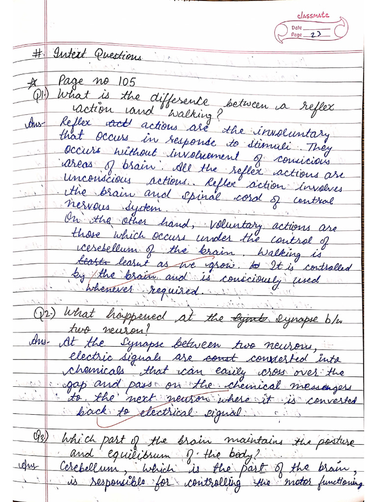 Science chapter 2,6,7,10 and 13 (1) | PDF