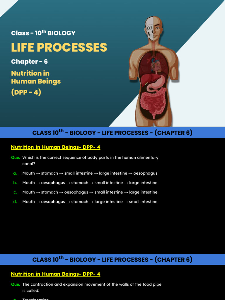 Class 10th - Biology - Chapter 6 - Life Processes - Nutrition in Human ...