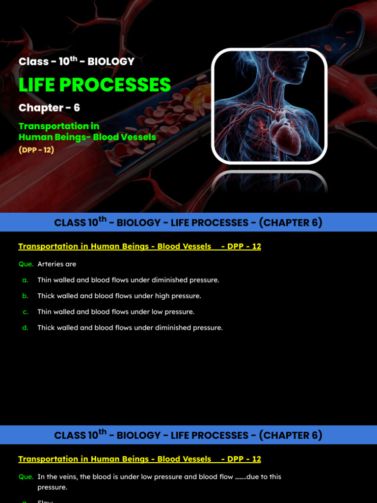 Class 10th - Biology - Chapter 6 - Life Processes - Transportation in ...
