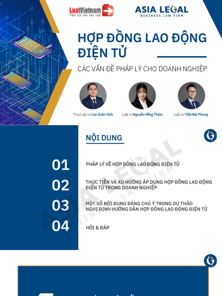 Hop Dong Lao Dong Dien Tu | PDF