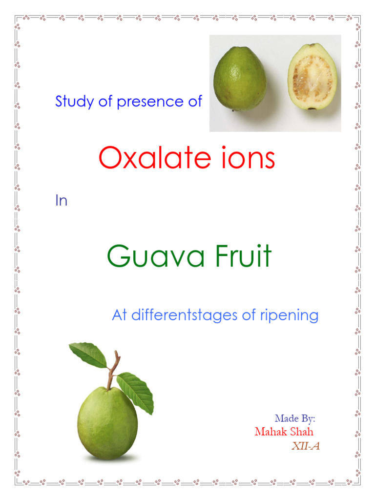 Chemistry Investigatory Project Presence of Oxalate Ions in Guava at ...