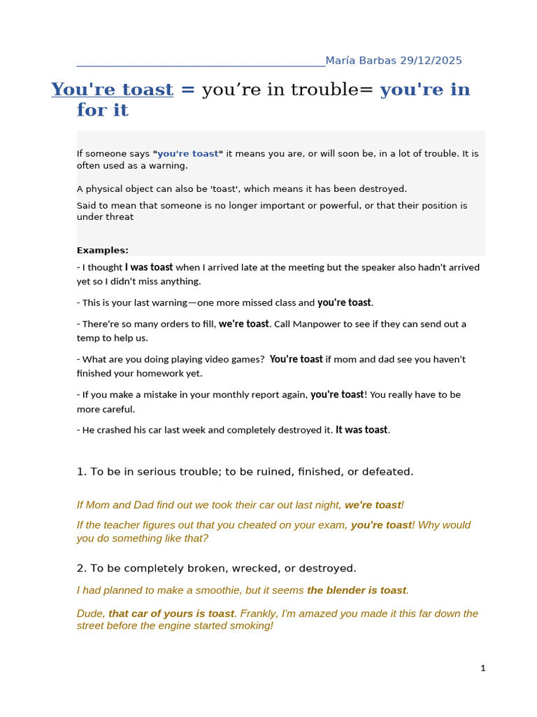 Understanding "You're Toast" Meaning | PDF
