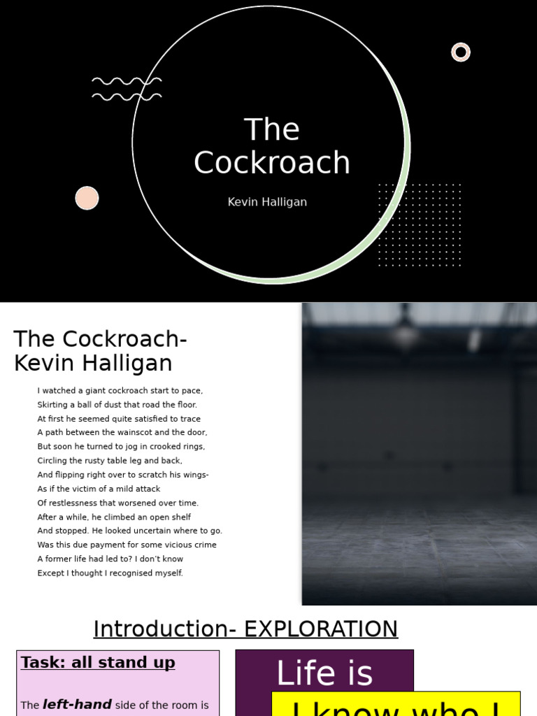 The Cockroach Kevin Halligan | PDF