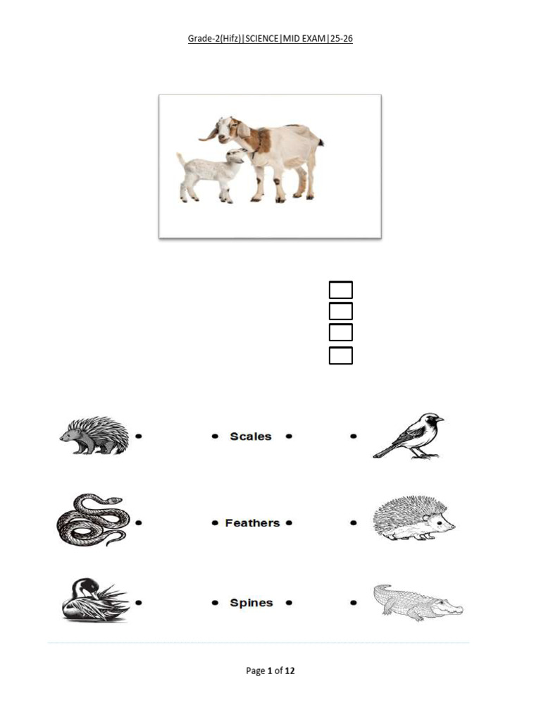 Grade 2 Science Mid Exam Questions | PDF
