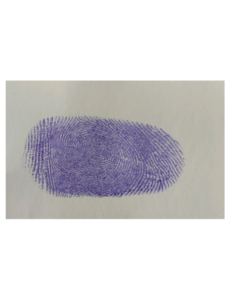 Thumb | PDF