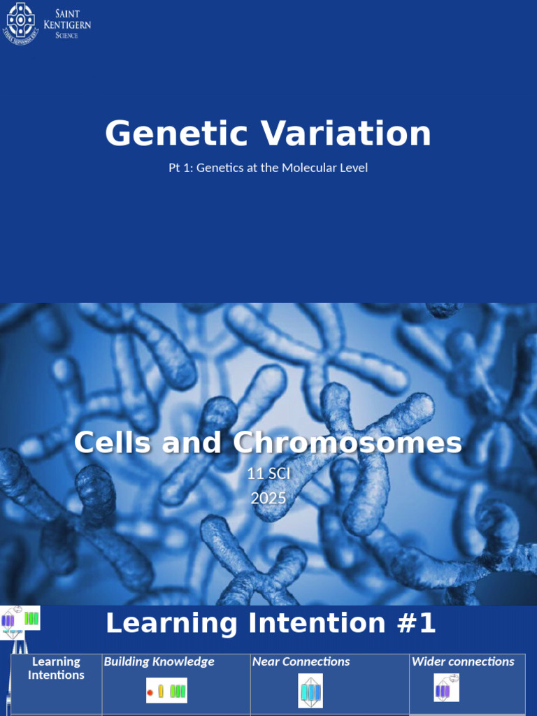 Understanding Genetic Variation in Cells | PDF | Dominance (Genetics ...