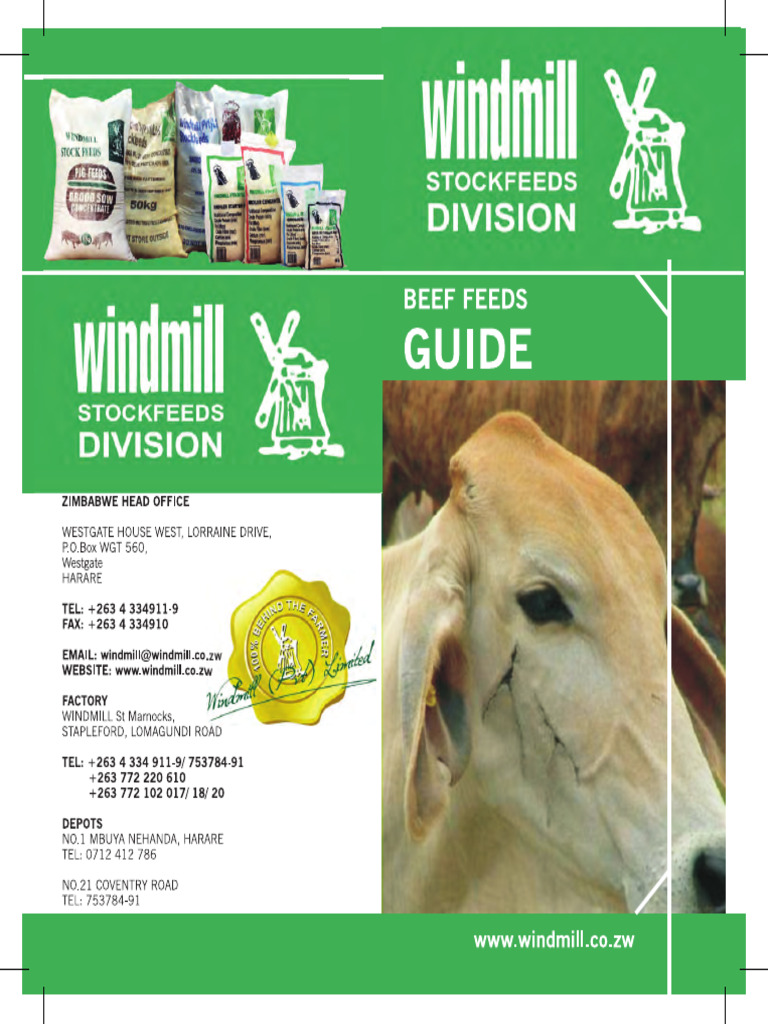 Brochure Beef Feeds | PDF