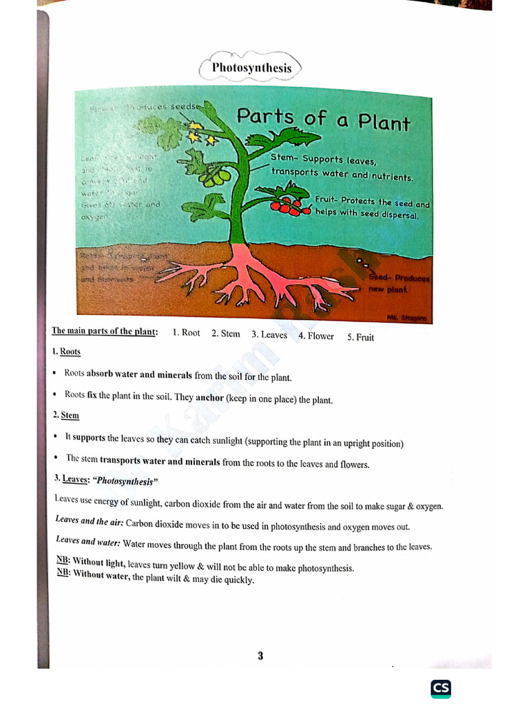 Y8 Check Point Biology | PDF