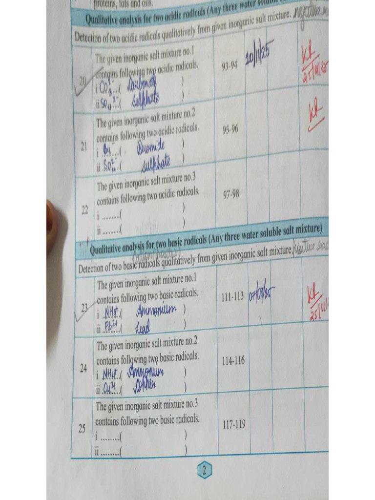 Chem Journal (Both Negative and Positive Radicals) | PDF