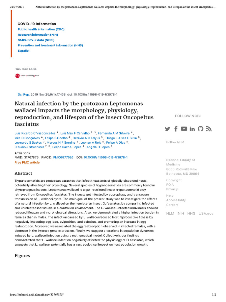Natural Infection by The Protozoan Leptomonas Wallacei Impacts The ...