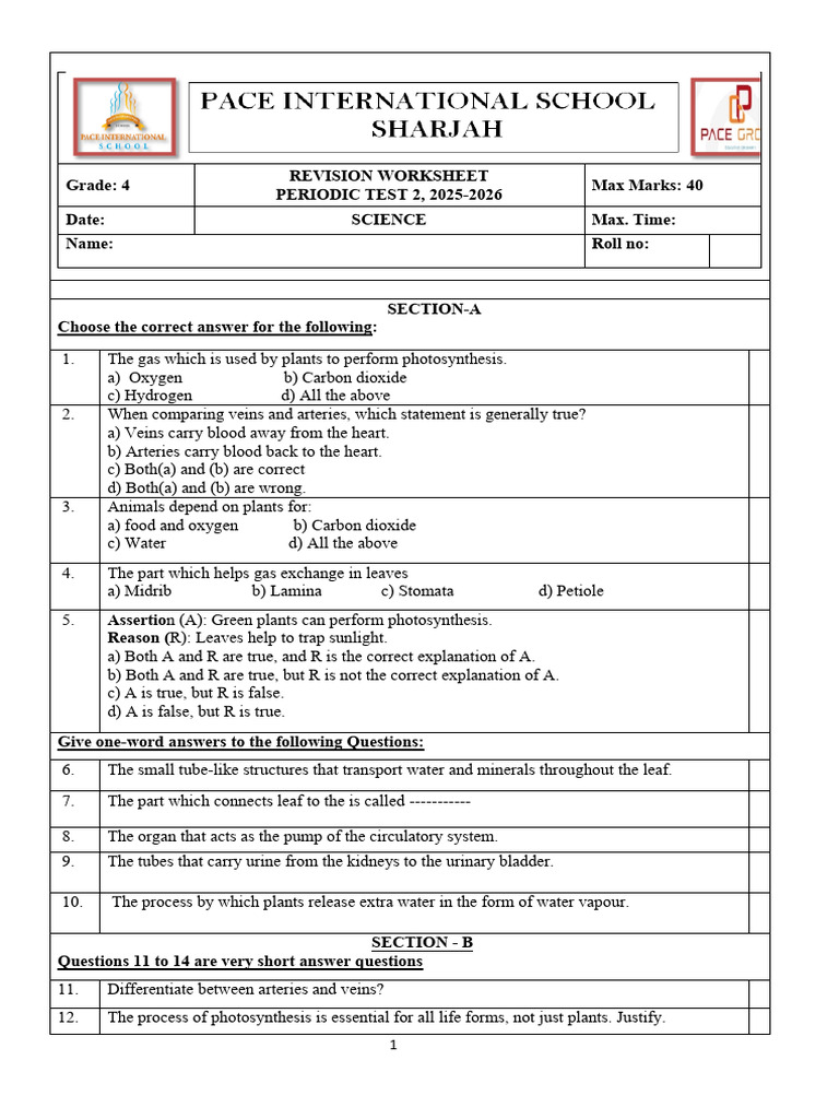 Grade 4 Science Revision Worksheet | PDF | Leaf | Blood