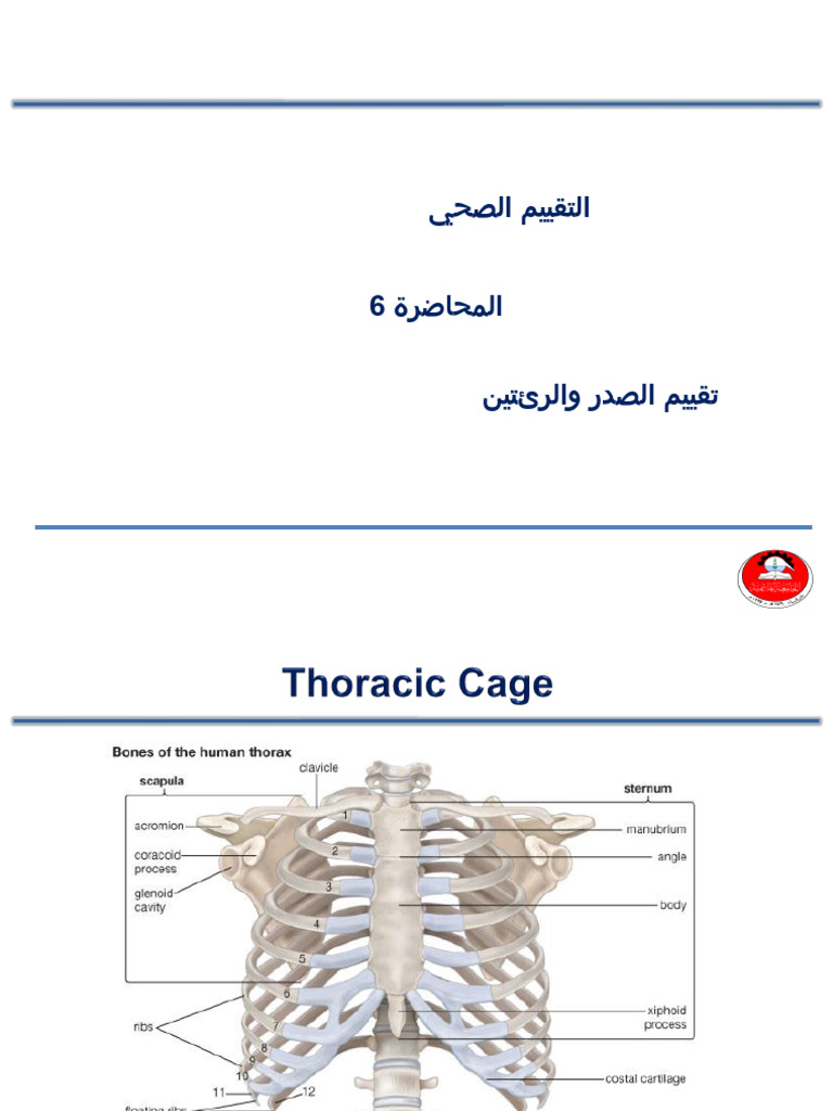 6- Assessment of Thorax & Lungs.en.Ar | PDF