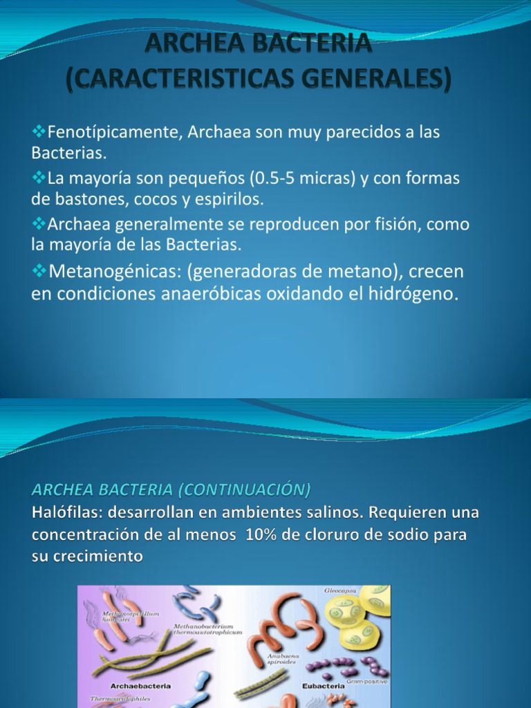 Archea Bacteria (Caracteristicas Generales) | PDF | Ribosoma | Biología ...