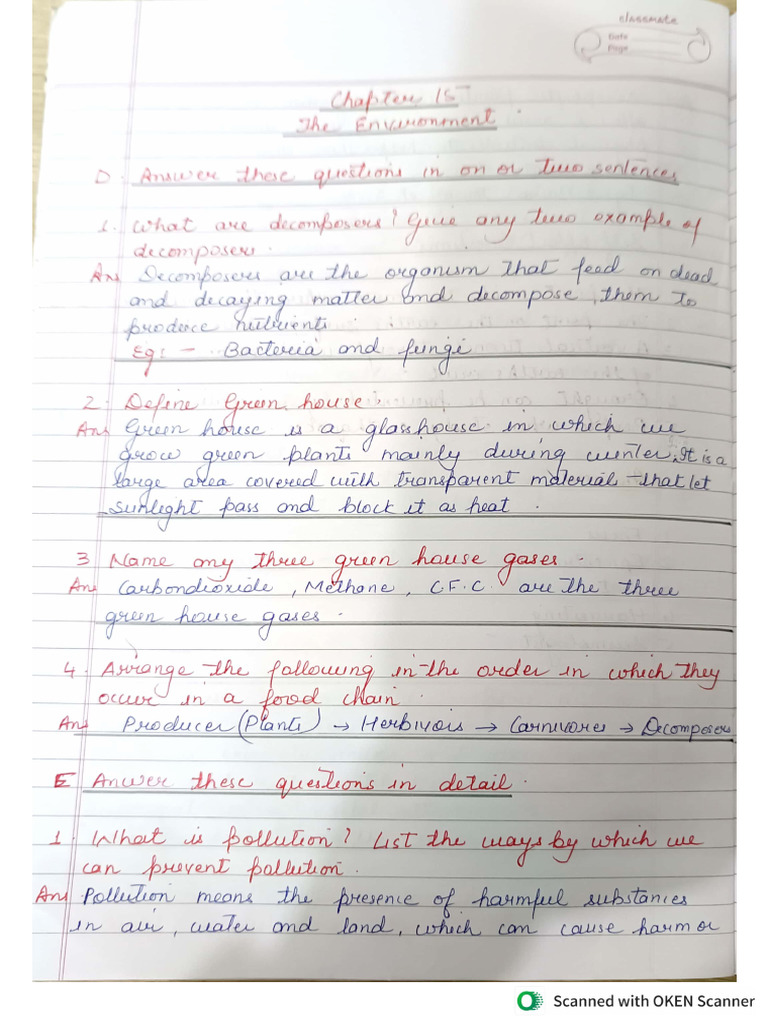 Chapter 15 Class 5 | PDF