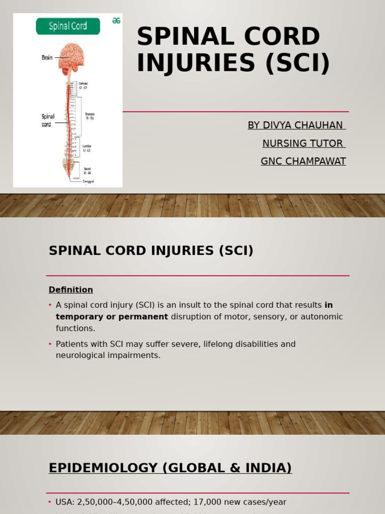 Understanding Spinal Cord Injuries (SCI) | PDF | Spinal Cord Injury ...