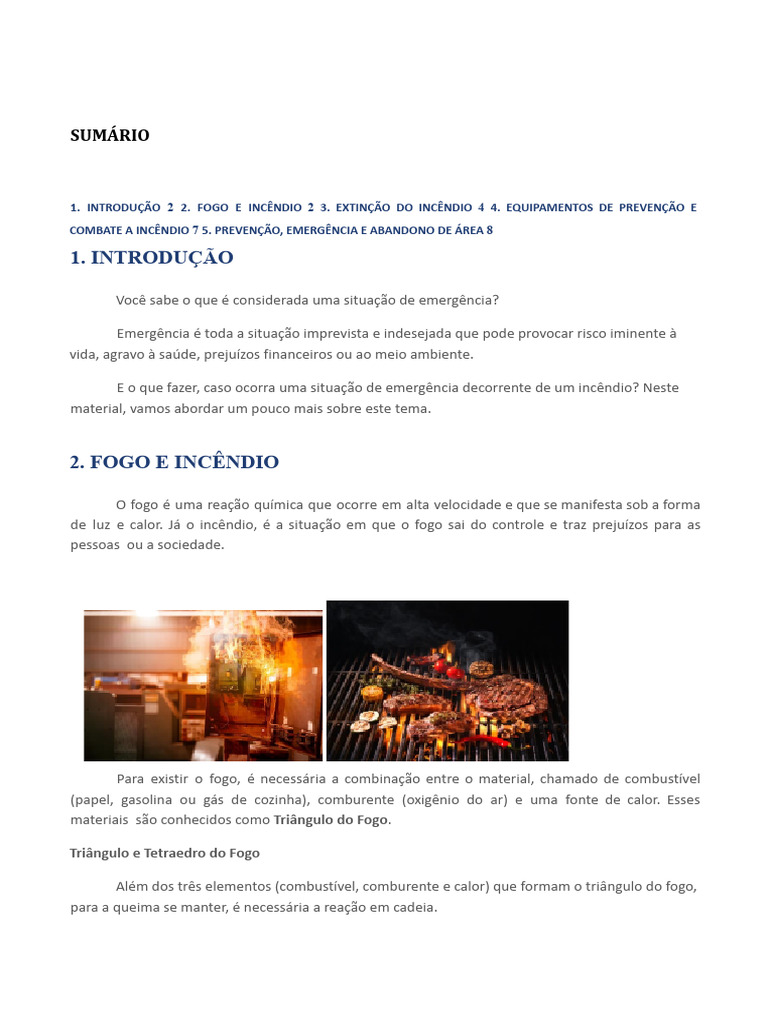 Aula 02 - material complementar | PDF | Incêndios | Combustão