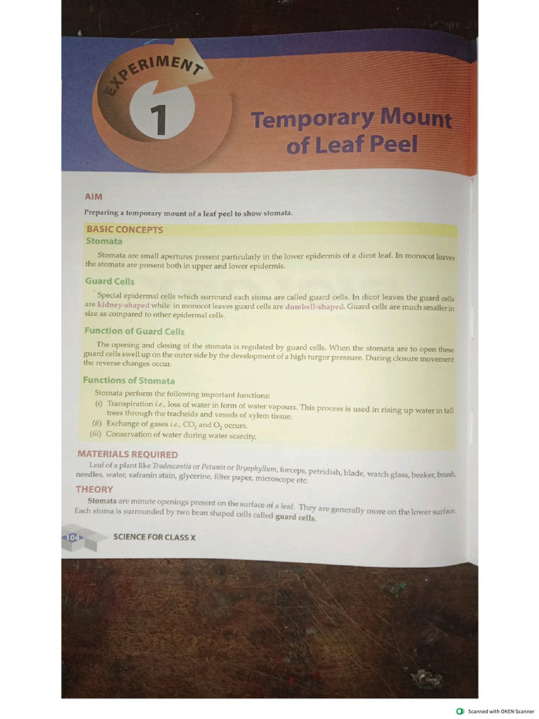 Bio Practical ? | PDF