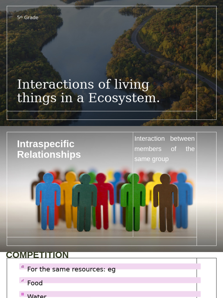 Interactions of Living Things in a Ecosystem 5th | PDF