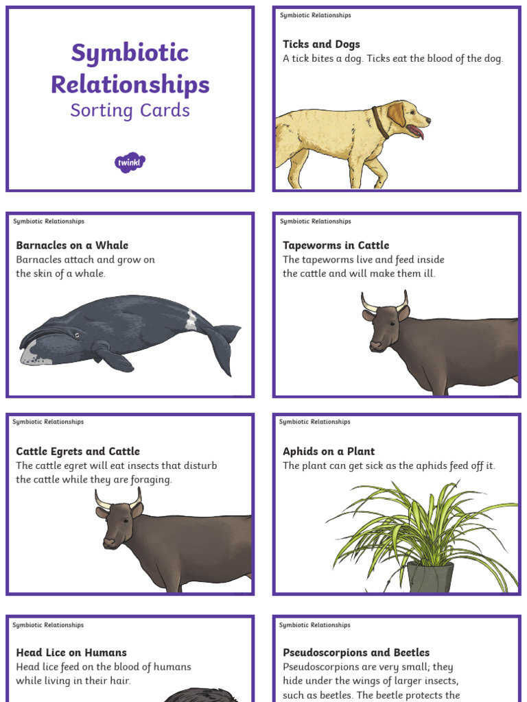 Symbiotic Relationships in Nature | PDF | Symbiosis | Insects