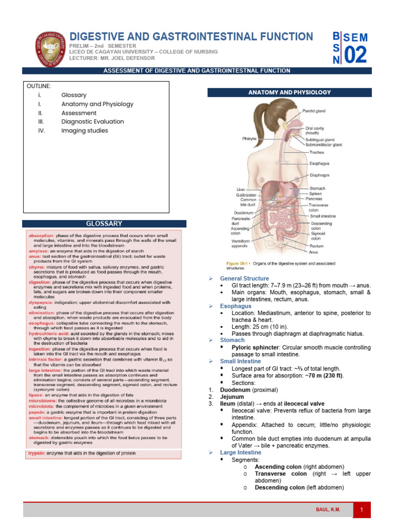 Digestive System Assessment Guide | PDF | Digestion | Gastrointestinal ...