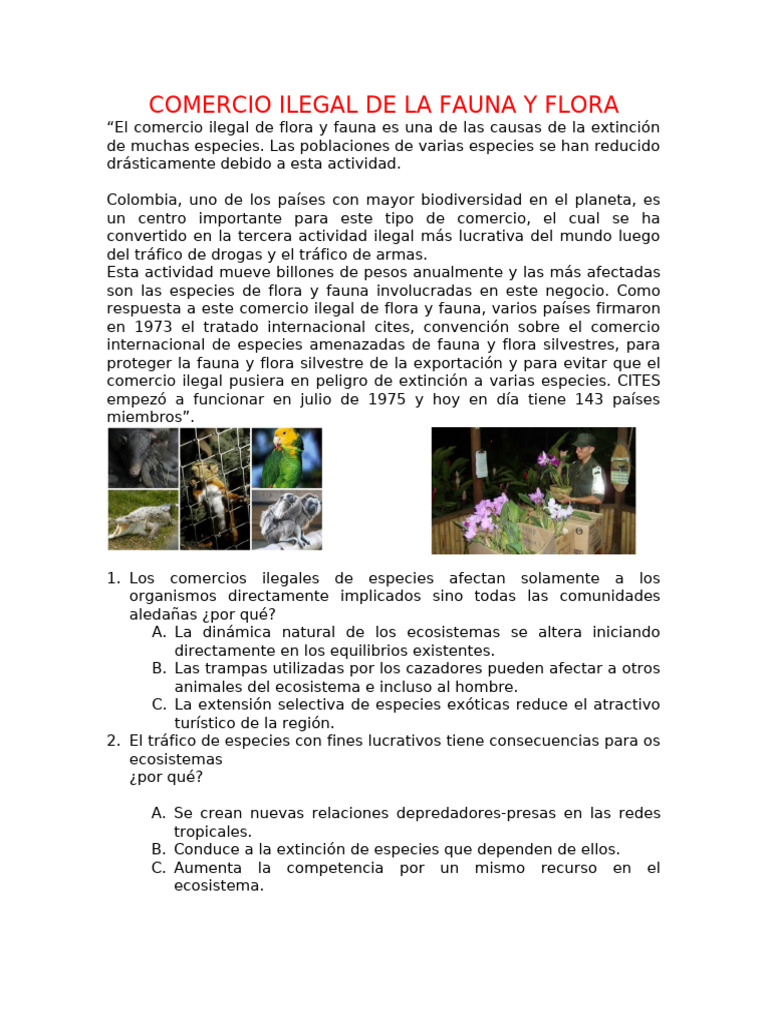 Comercio Ilegal de Flora y Fauna en Colombia | PDF | Fauna | Biodiversidad