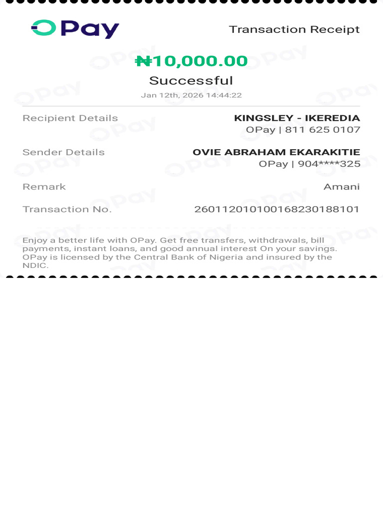 OPay Transaction Receipt - ₦10,000 Successful | PDF