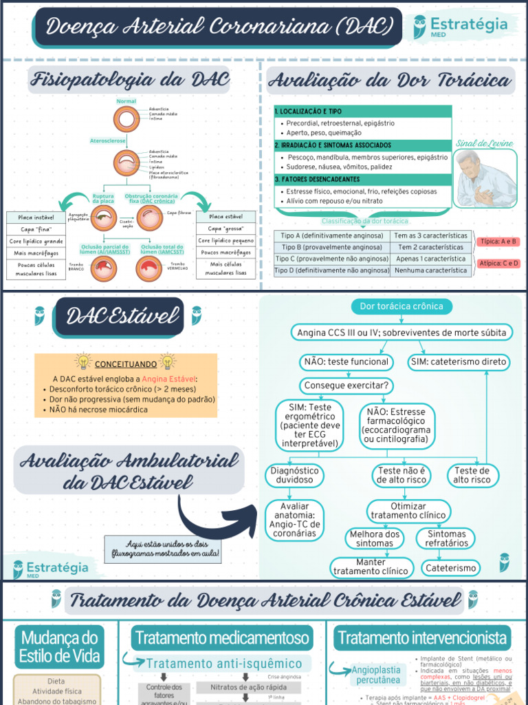 Mapa Mental - SCASSST - Síndrome Coronária Aguda Sem Supra Do Segmento ...