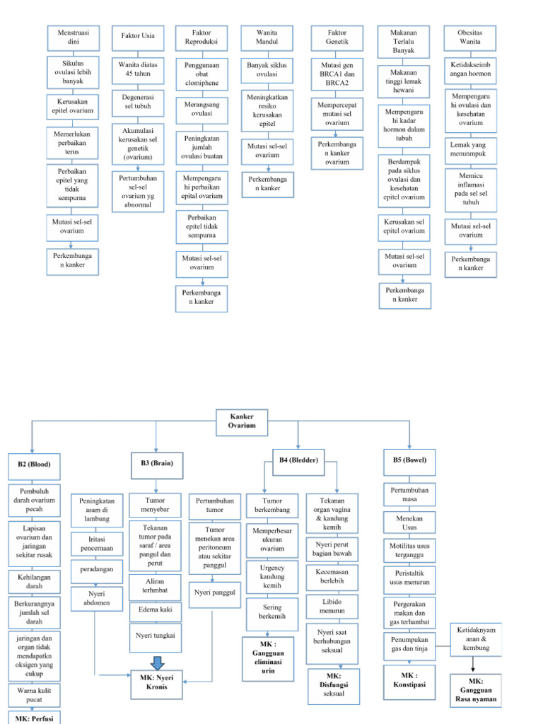 1. Woc CA Ovarium | PDF