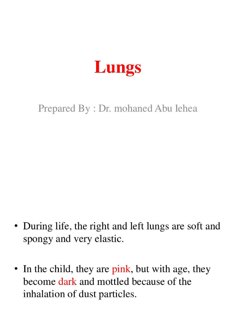 Lungs | PDF