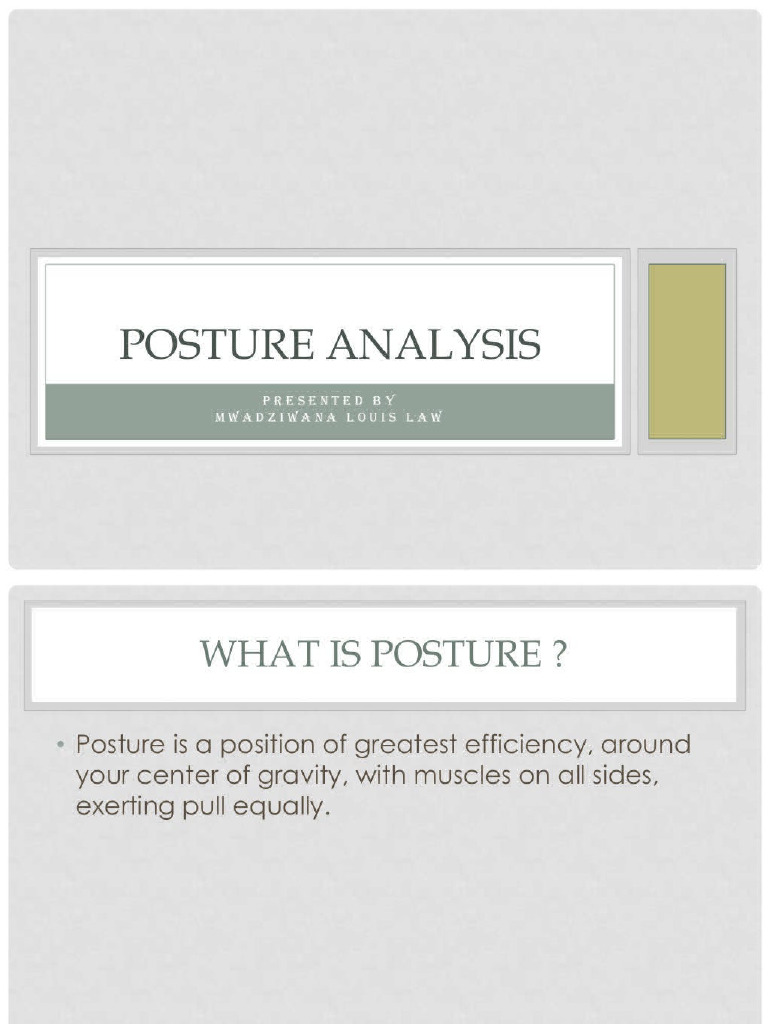 Posture Analysis | PDF