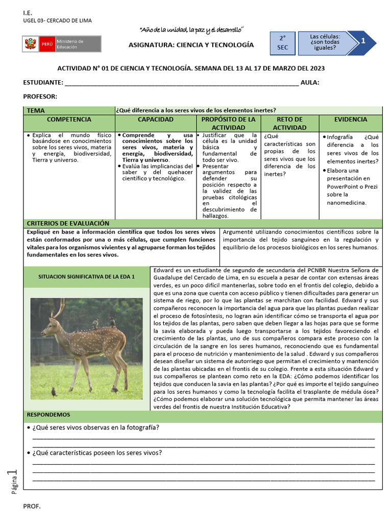 (PDF) 2° SEC. EDA 1 SEMANA 1 EXPLICA CYT 2023 Qué diferencia a los ...