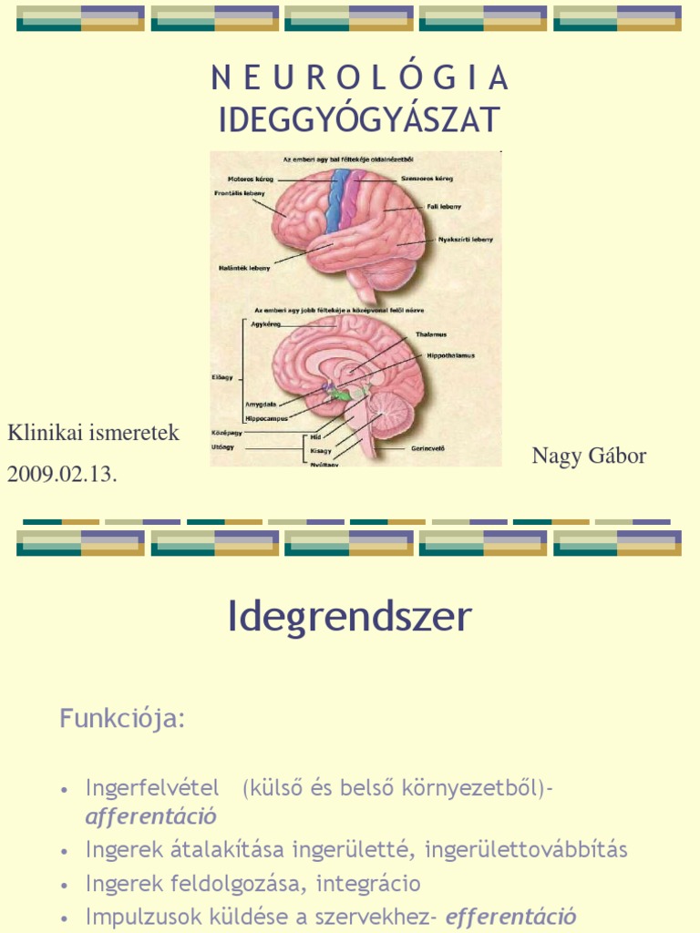 Idegrendszer | PDF