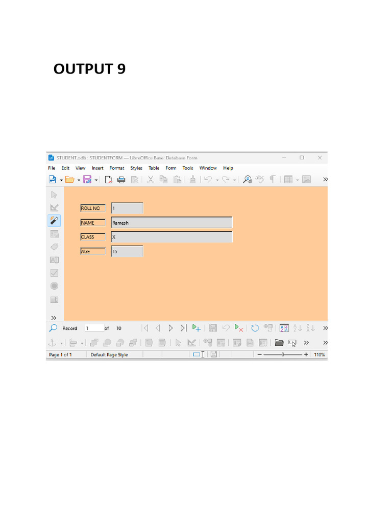 Output_Reports and Form | PDF