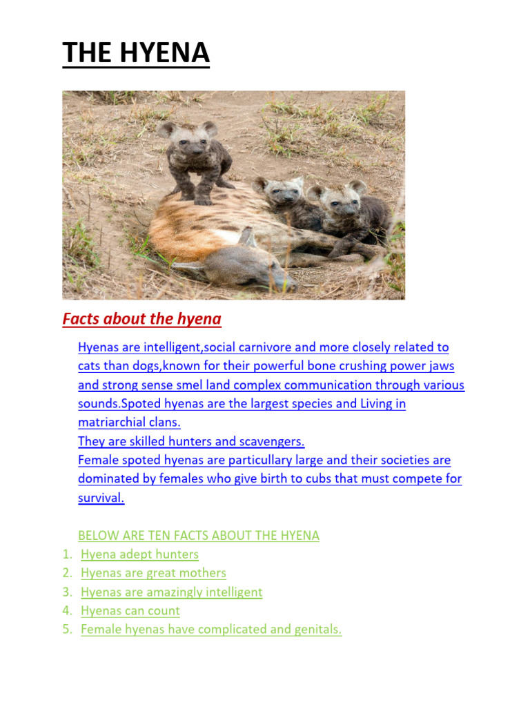 Facts About the Hyena | PDF