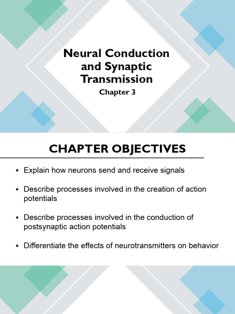 Chapter 3 - Neural Conduction and Synaptic Transmission | PDF ...