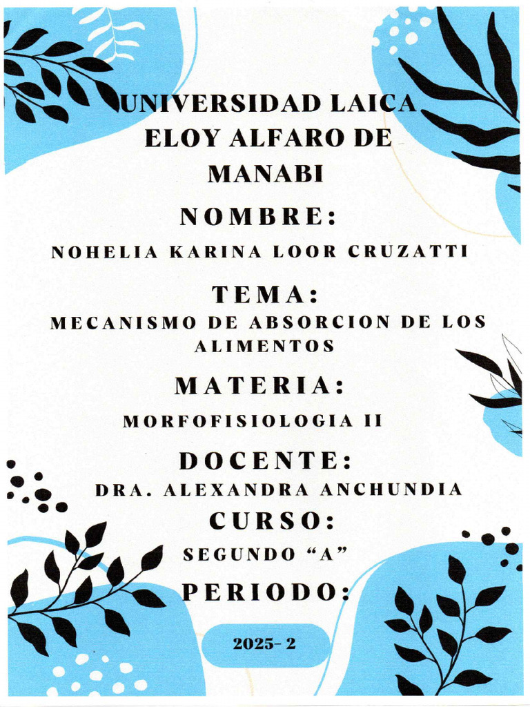 CONSULTA MORFO | PDF