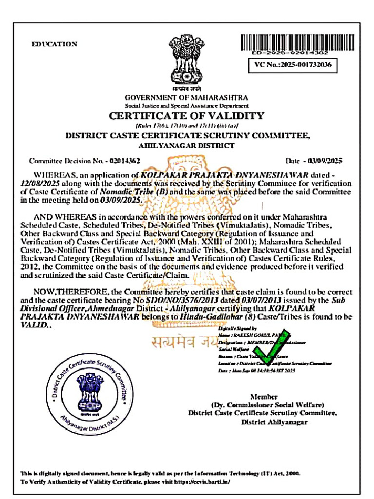 Cast Validity | PDF