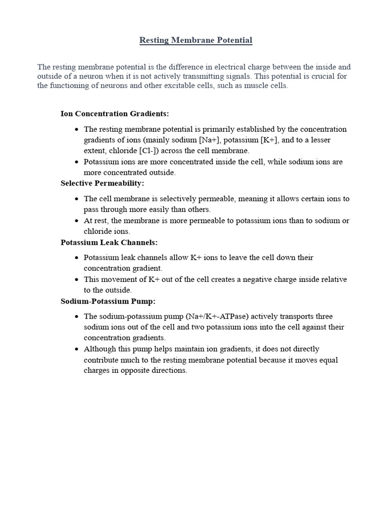 Understanding Resting Membrane Potential | PDF | Neuron | Action Potential