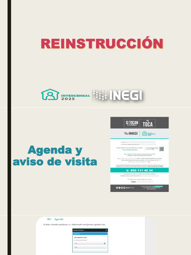 Proceso de Visitas y Registro INEGI | PDF