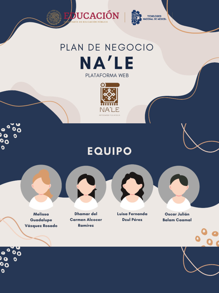 PAlan de negocios NALE | PDF | Logística | Marketing